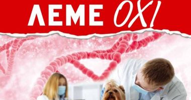 ΠΑΝΕΛΛΗΝΙΟΣ ΚΤΗΝΙΑΤΡΙΚΟΣ ΣΥΛΛΟΓΟΣ (Π.Κ.Σ.)
